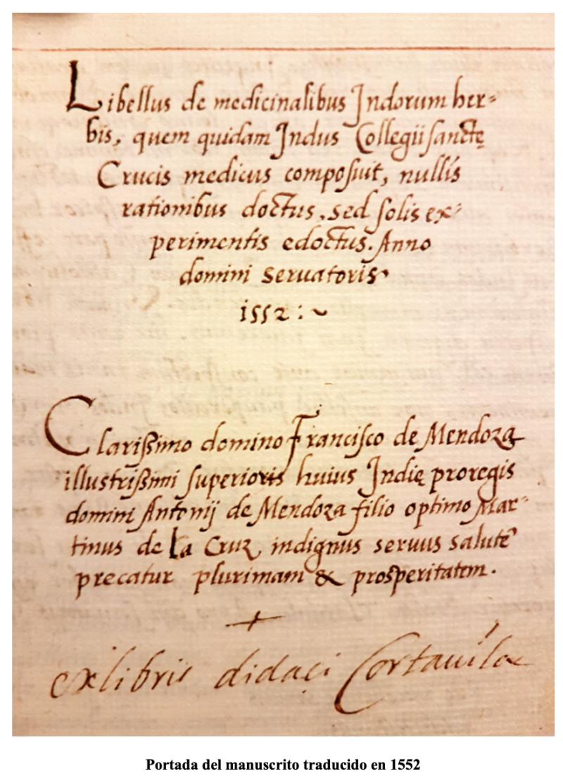 Los remedios de uso estomatológico en el “Libellus de medicinalibus ...